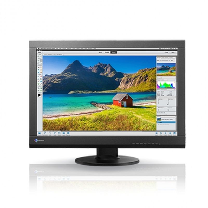 Eizo CS240 monitor 24" 1920x1200 - F64.ro